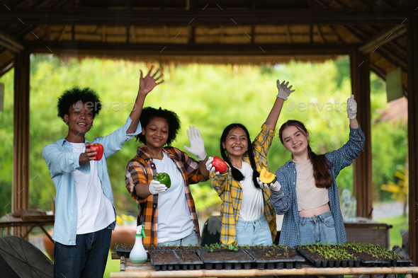 Children have fun learning plant fruit vegetable tree indoor ...