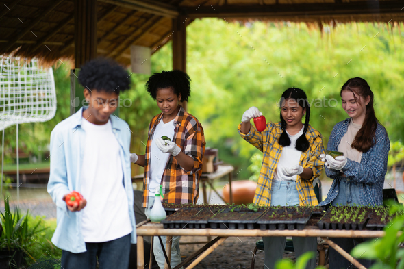 Children have fun learning plant fruit vegetable tree indoor ...