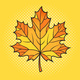 Maple Leaf Pinup Pop Art Vector Illustration, Vectors | GraphicRiver