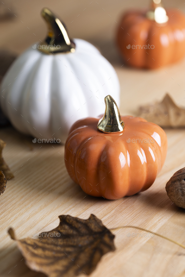 beautiful autumn background with pumpkins Stock Photo by azgek | PhotoDune