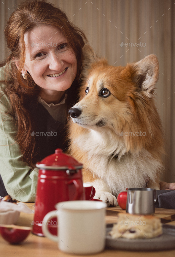 girl and corgi dog posing in the kitchen Stock Photo by azgek | PhotoDune