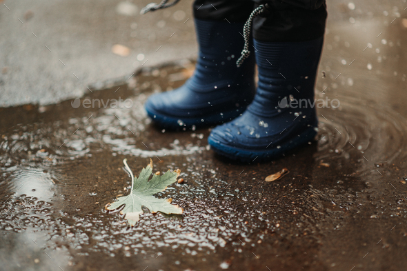 Leaf in a rain puddle outside Stock Photo by zamrznutitonovi | PhotoDune