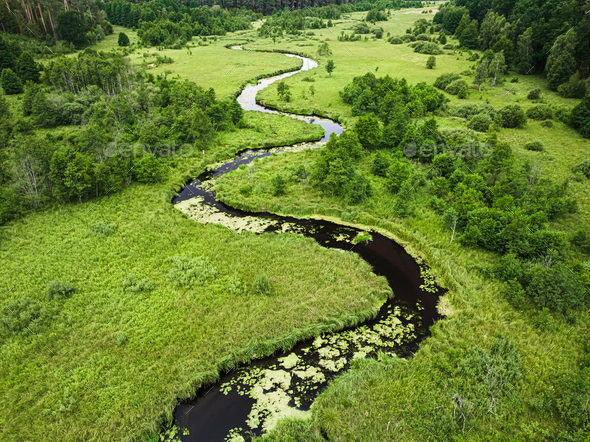 Winding river in swamps in summer, aerial view Stock Photo by Shaiith
