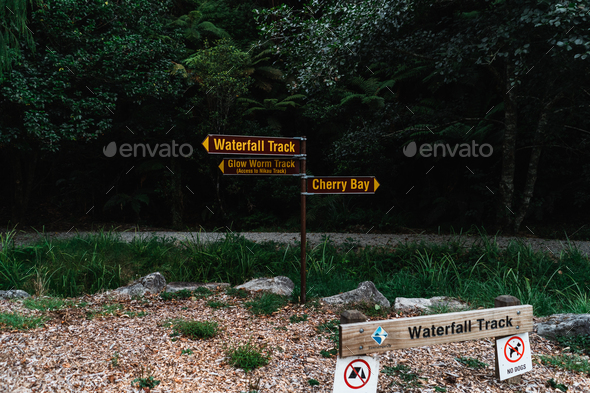 direction signs in the forest Stock Photo by chamanexperience | PhotoDune