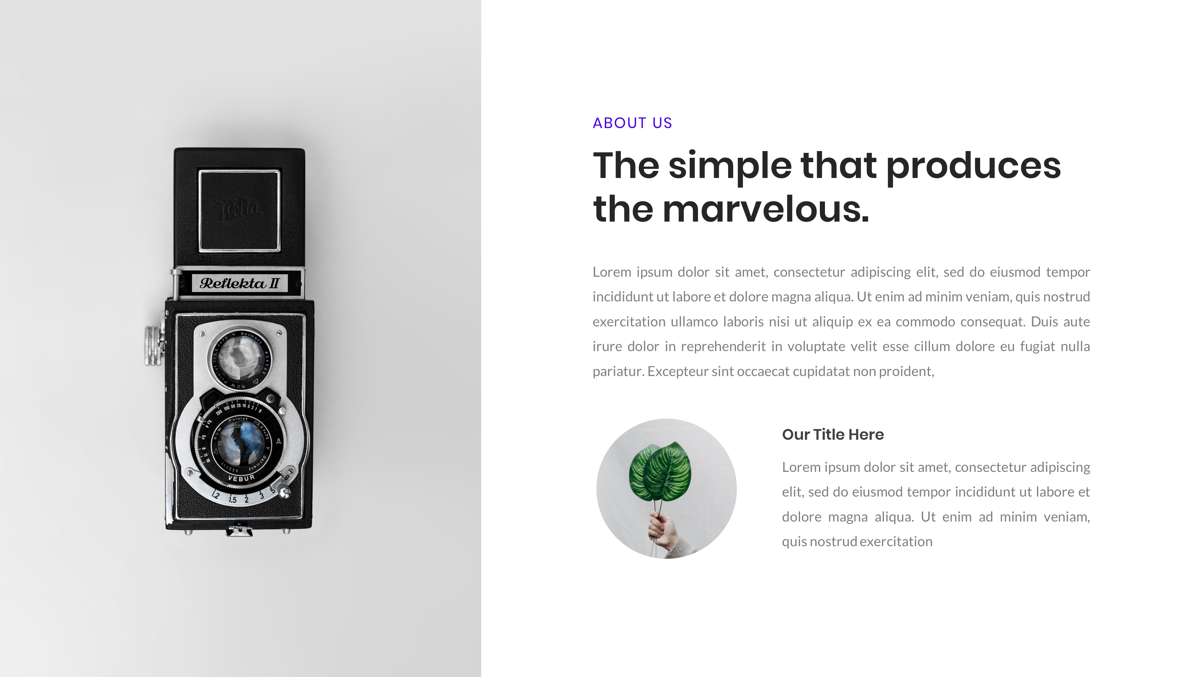 Morgan - Minimal & Creative PowerPoint Template, Presentation Templates