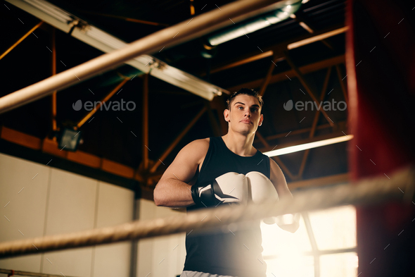 Below view of boxer ready for exercising in boxing ring at the gym ...