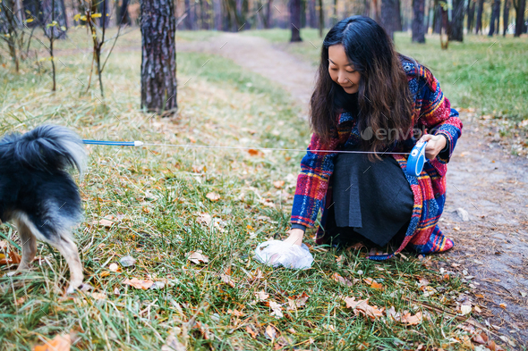 Owner cleaning up after dog with plastic bag Stock Photo by nikolast1