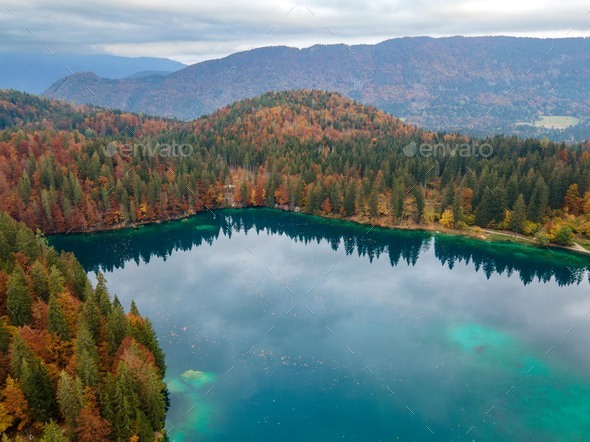 Fusini inferior lake and beech forest, Italy Stock Photo by estivillml