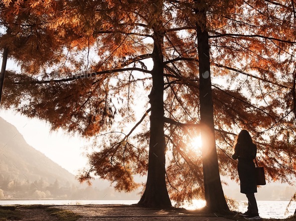 Autumn forest, lake, mountains, colourful nature, orange tree, woman ...