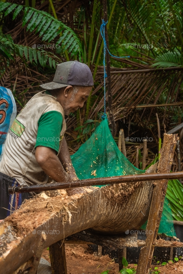 the process of making traditional sago flour Stock Photo by MelianChongQ