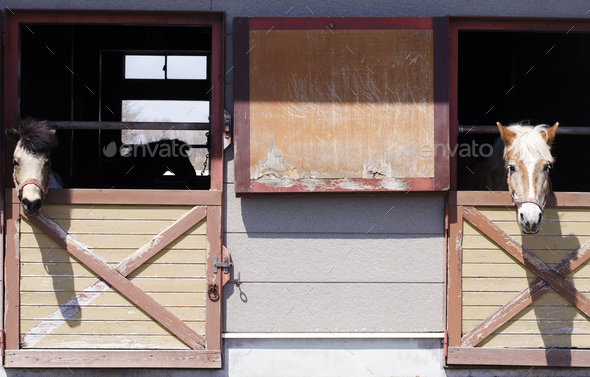 Horses in stables in Hokkaido Japan. Stock Photo by jonathancant ...