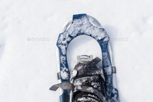 Top down view of a blue snowshoe covered in snow Stock Photo by krisprahl
