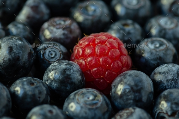 Fresh raspberries among blueberries, close-up, berries, summer ...