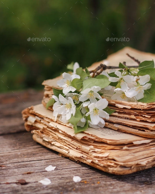 Spring vintage still life. White flowers on old books Stock Photo by ...