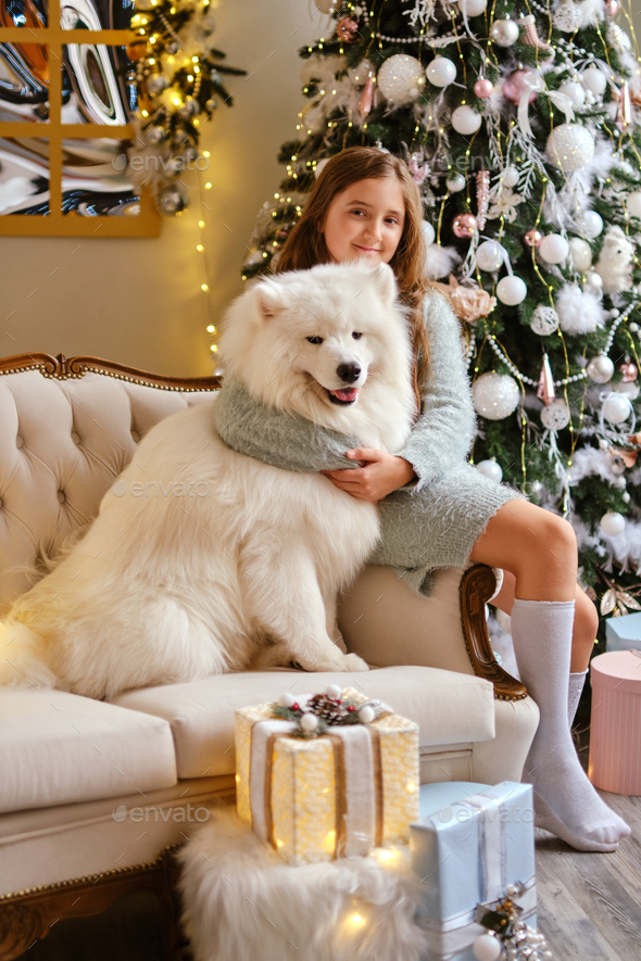 Little cute girl sitting on the sofa with Samoyed dog Stock Photo by ...