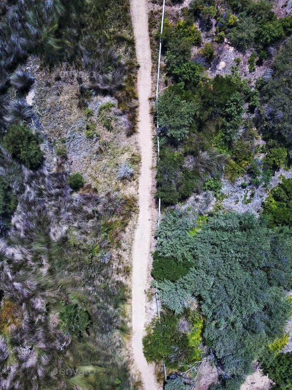 An aerial view of a path in the Australian bush Stock Photo by ...