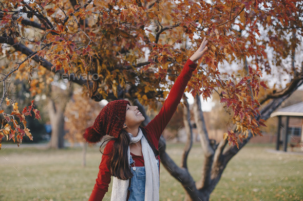 Girl reaching up to grab a leaf from a tree in fall Stock Photo by ...
