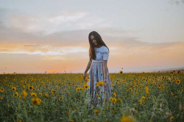 Young girl touching and picking flowers in a sunflower field Stock ...