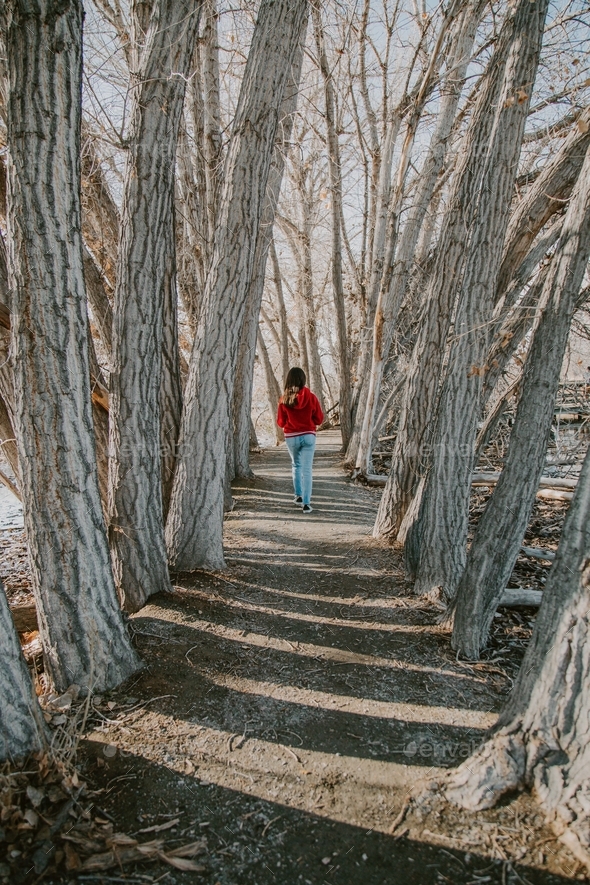 Young girl wearing a red sweater walking in between a lot of trees ...