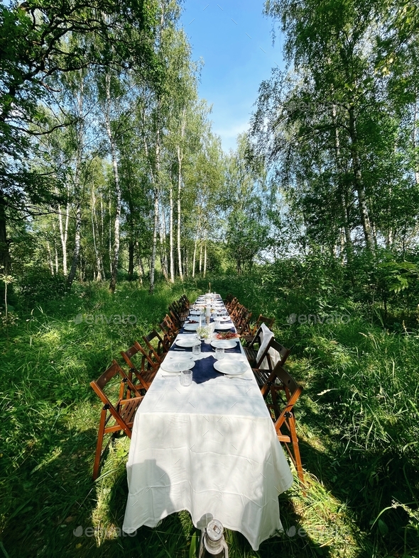 Dining in the forest Stock Photo by goncharovakaterina | PhotoDune