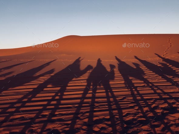 Shadows in a desert Stock Photo by goncharovakaterina | PhotoDune