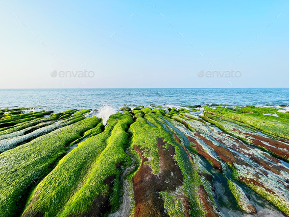 Seaside Green reefs Stock Photo by MayFayStudio | PhotoDune