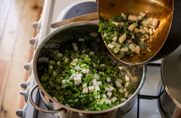 Green fresh onions stewed in a metal saucepan on the stove Stock Photo ...