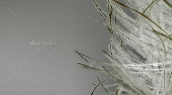 Horizontal banner background screensaver with space for copy space text ...