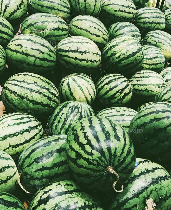 green fresh organic watermelons stacked on top of each other Stock ...