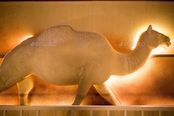camel / light / egypt / ancient Stock Photo by LesiaScotch | PhotoDune