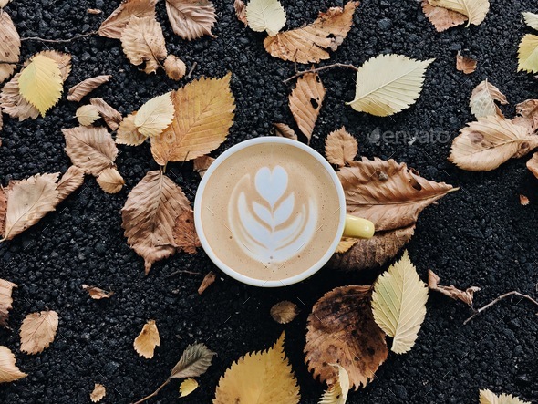 cappuccino and fall leaves / autumn coffee / autumn season Stock Photo ...