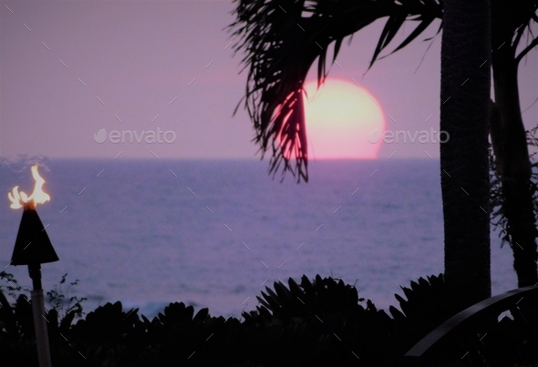 Romantic Tropical Sunset! Shades of Purple Color the Sky! Moon Dips ...