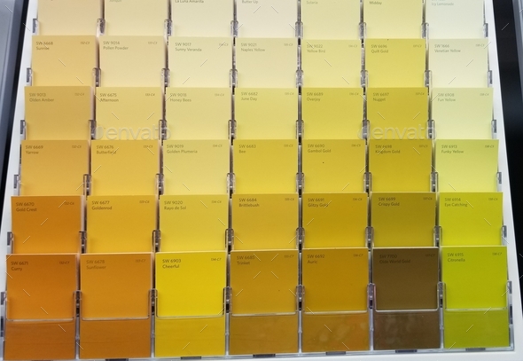 YELLOW! Spring! Yellow Color Palette! NOMINATED!! Stock Photo by AZ-BLT