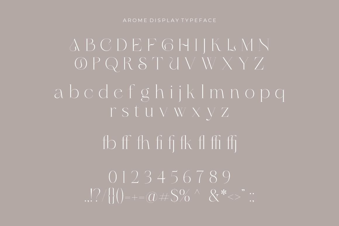 Arome - Display Serif Font, Fonts | GraphicRiver