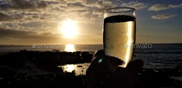 Pour a glass of sparkling sunshine to celebrate National Bubbly Day ...