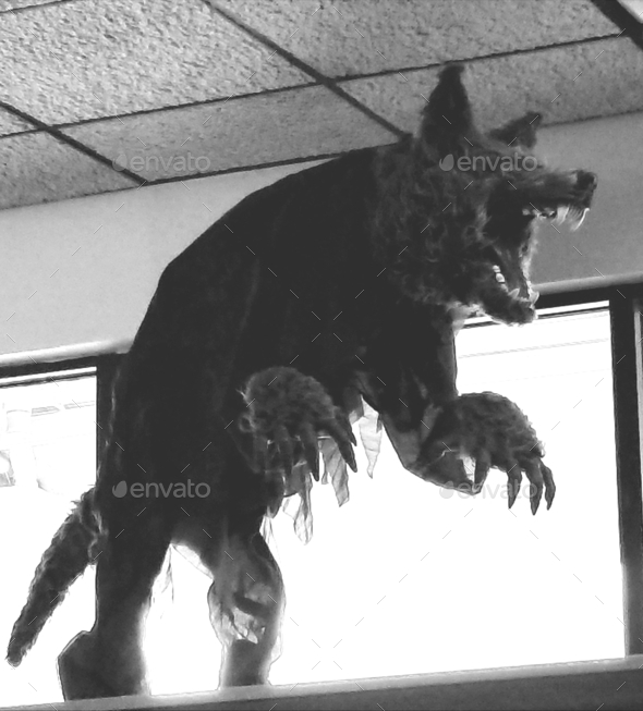 Scary Shape Shifter Werewolf! Stock Photo by AZ-BLT | PhotoDune