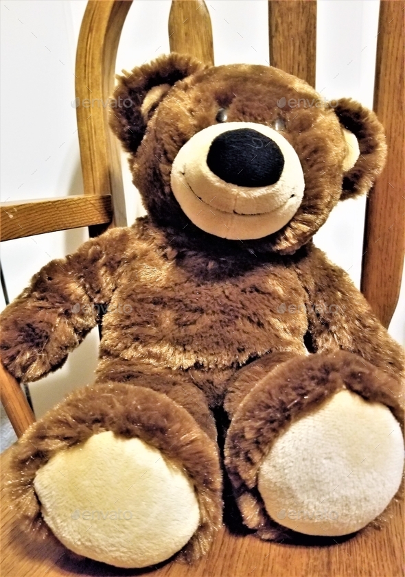 Teddy Bear! Brown Bear! Smiling Bear! Stock Photo by AZ-BLT | PhotoDune