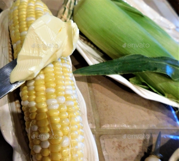 Buttered Corn on the Cob! Maize! Corn! Stock Photo by AZ-BLT | PhotoDune