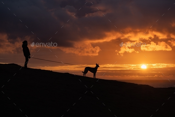 Sunset dog walk in St Ives Stock Photo by marshalljoe | PhotoDune