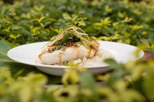 Steamed fish fillet, over white rice, with chives topping and honey and ...