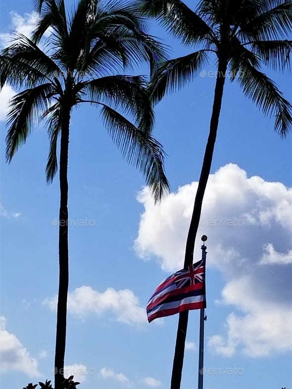 Hawaii! Aloha! Hawaiian State Flag! 50th State! NOMINATED!! Stock Photo ...