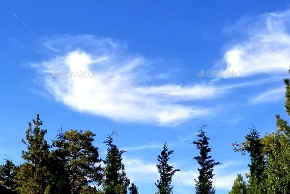 Cloudscape! Beautiful Cloud Angel Floating in the Blue Sky! Stock Photo ...