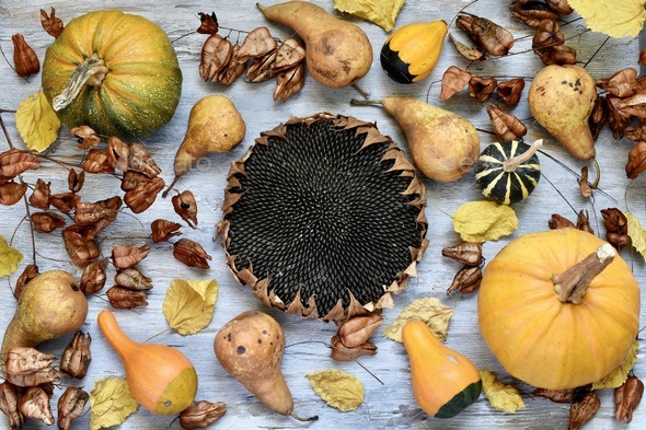Autumn food background Stock Photo by nodar77 | PhotoDune