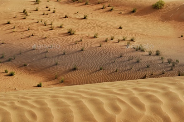 SandScape Desert Landscape Stock Photo by spencerpa440 | PhotoDune