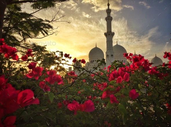 Mosque Architecture Flowers at Sunset Stock Photo by spencerpa440