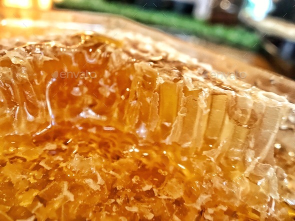 Food Local organic honeycomb Stock Photo by spencerpa440 | PhotoDune