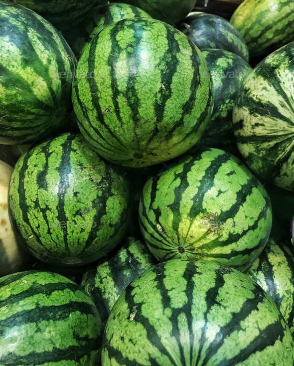 Fruit Mini Watermelons Nominated Stock Photo by spencerpa440 | PhotoDune