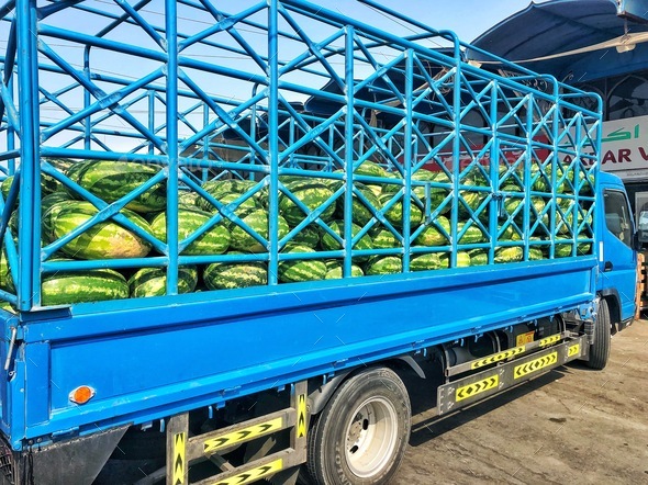 Transportation Truckload of Watermelon Stock Photo by spencerpa440