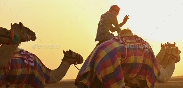 Camel rider waving, “Salam,” “Peace,” as he rides his camel into the ...