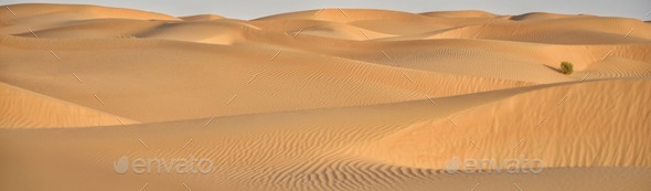 Wide Open Desert SandScape Landscape like a dry sand wavy ocean Stock ...